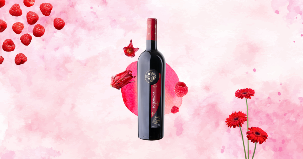 Botenacha Red Wine from Valtenesi | Bottenago